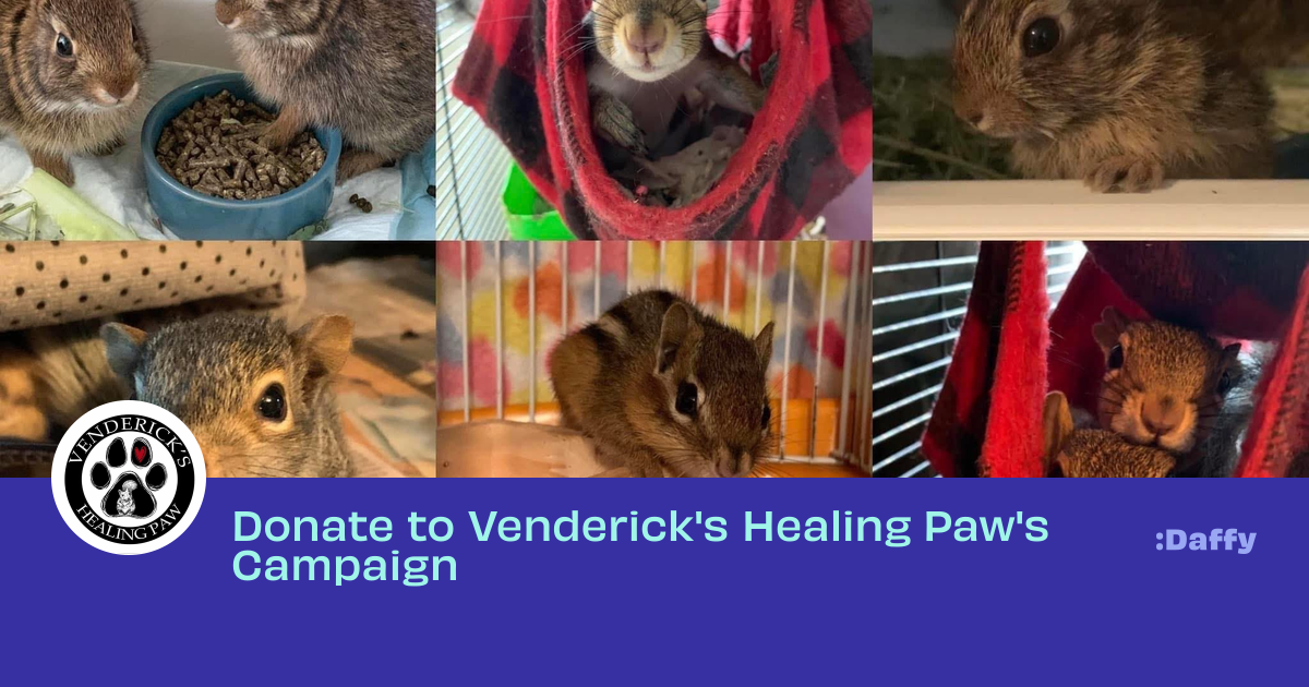 Donate to "Help us save more animals ", led by Venderick's Healing Paw