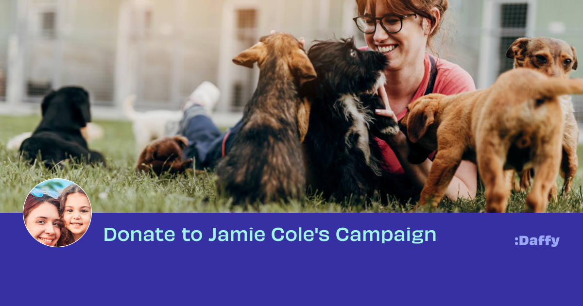 Donate to "Donate to Help Rescue Local Animals", led by Jamie Cole