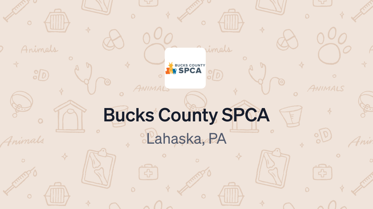 Donate to Bucks County SPCA from Lahaska, PA (23-1365196) using Daffy