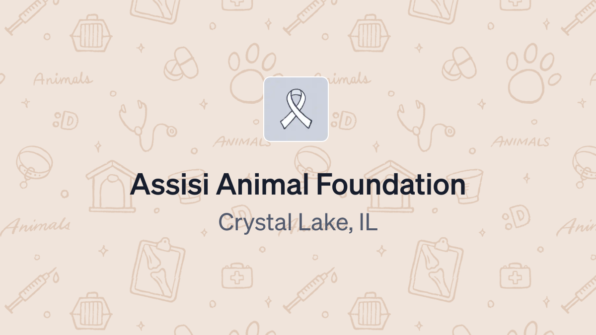 Donate to Assisi Animal Foundation (36-3224013) using Daffy