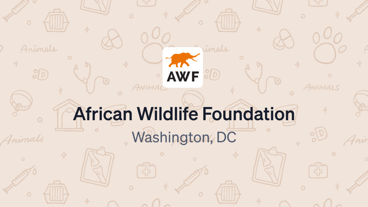 Donate to African Wildlife Foundation (52-0781390) using Daffy